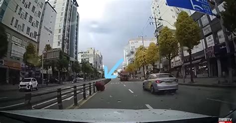 중앙분리봉 밑으로 기어서할머니의 신박한 무단횡단