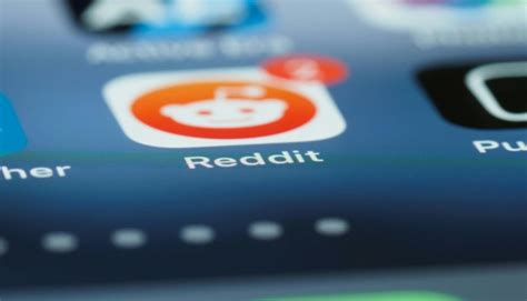 Reddit Advertising Strategies For Targeting The Right Audience Camphouse