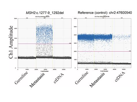 Supplemental Material