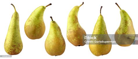 클리핑 경로가 있는 흰색 배경에 분리된 배 페어 컨퍼런스 0명에 대한 스톡 사진 및 기타 이미지 0명 과일 날것 Istock