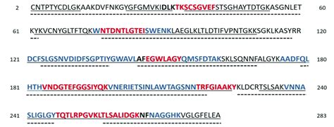 Sequence Coverage Map Of Vdac3 From Nsc34 Nsc34 Sod1wt And