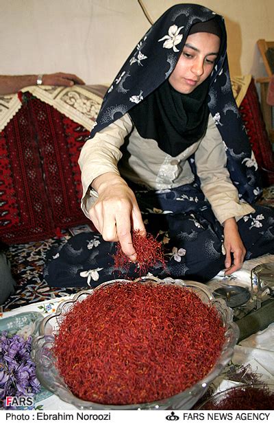 نبات الزعفران