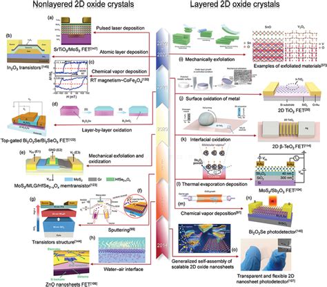 Schematic Representation Summarizing The Categories Synthesis
