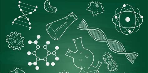 Современные шаблон для презентаций биология клетка фото и картинки Abrakadabra Fun