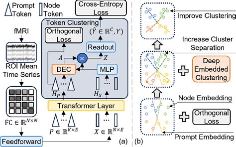 learnable community aware transformer for brain connectome analysis