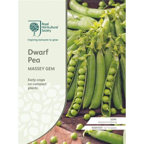 Royal Horticultural Society Pea Dwarf Massey Gem