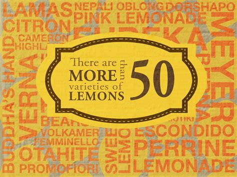 Lea Ann Bradford The Lovely Lemon