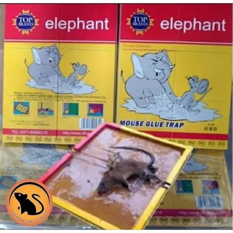 Jual Lem Tikus Super Lengket Jebakan Perangkap Untuk Tikus Besar Atau