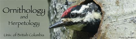 Biology 427 Lab Material Biology 427 Irwin