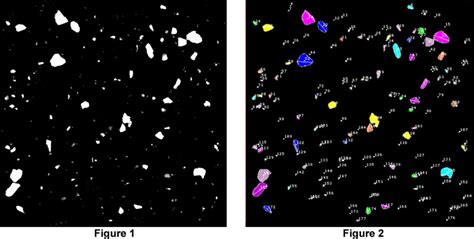 Highlighted Services Automated Particle Analysis Mva Scientific Consultants
