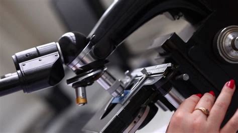 Researchers Working In Lab With Microscope Microscope Chemist Biology