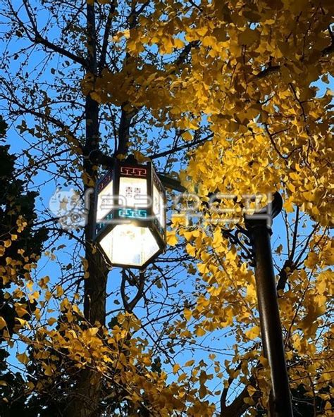 경복궁 등불 등 빛 가로등 사진 이미지 일러스트 캘리그라피 쓰마일작가