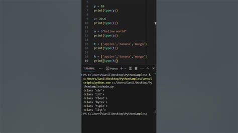 datatypes in python shorts youtube