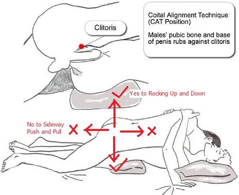 Coital Alignment Technique Pictures Il Ponte