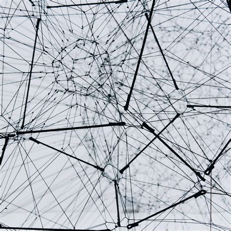 Expeditions Global Pervasive Computational Epidemiology Biocomplexity 2024