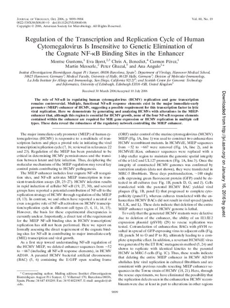 Pdf Regulation Of The Transcription And Replication Cycle Of Human