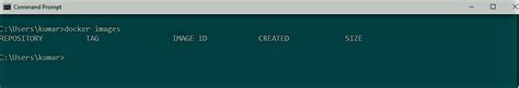 Hello World With Docker Running My First Container