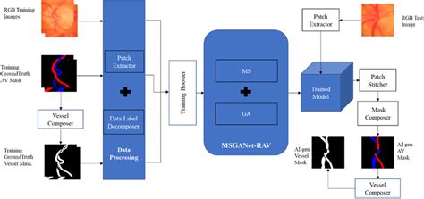 Workflow Of Automatic Deep Learning Based Vessel Segmentation And Av