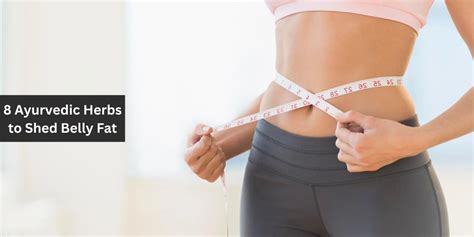 8 Ayurvedic Herbs to Shed Belly Fat - Cool Astro