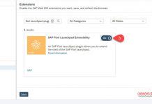 How To Launch The SAP Fiori Launchpad