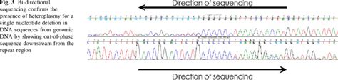 Bi Directional Sequencing Confirms The Presence Of Heteroplasmy For A