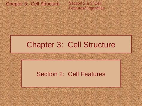 Ppt Chapter 3 Cell Structure Section 2 3 Cell Features Organelles 1