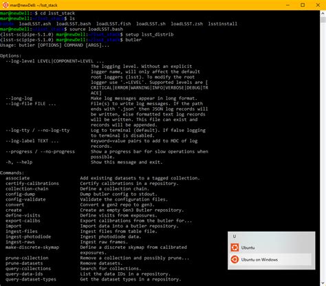 How To Work Offline With Jupyter Notebooks On Windows Data Preview Rubin Observatory LSST