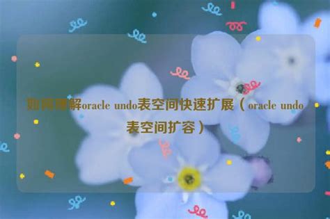 如何理解oracle Undo表空间快速扩展（oracle Undo表空间扩容） 技术分享 主机测评