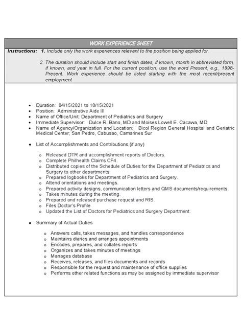 Work Experience Sheet Pdf Computing