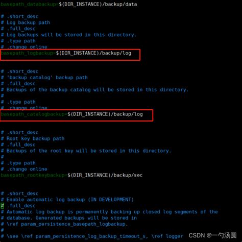 Hana数据库备份及恢复 参数、原理、脚本 Csdn博客