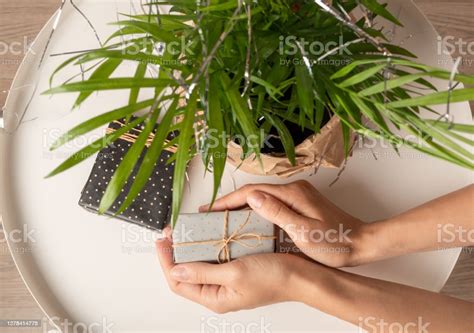 휴일 개념 나무 배경에 여성의 손은 흰색 테이블 상자 선물에 넣습니다 맨 위 보기입니다 가을에 대한 스톡 사진 및 기타 이미지 Istock