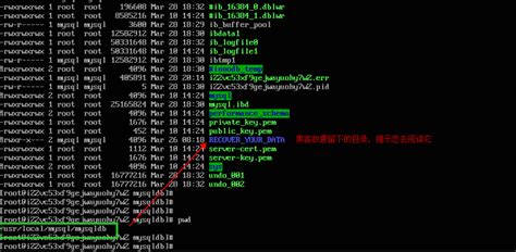 centos7 9中修改mysql8 0 28默认的3306端口防止被端口扫描入侵 修改mysql3306端口 csdn博客
