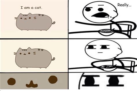 Pusheen Cat Memes 410 Cat Meme Stock Illustrations Royalty Free