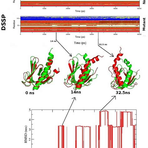 Interaction Between Nativemutant Akt1 Ph Domain And Akt12 Inhibitor
