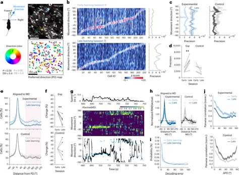 Motor Learning Refines Direction Coding Through The Suppression Of Download Scientific Diagram