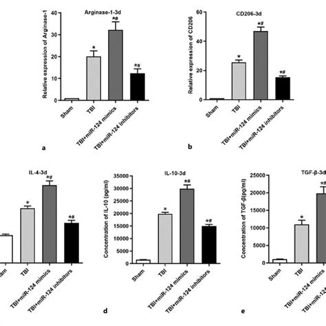 Upregulation Of Mir 124 Promoted The Expression Of M2 Microglia Markers