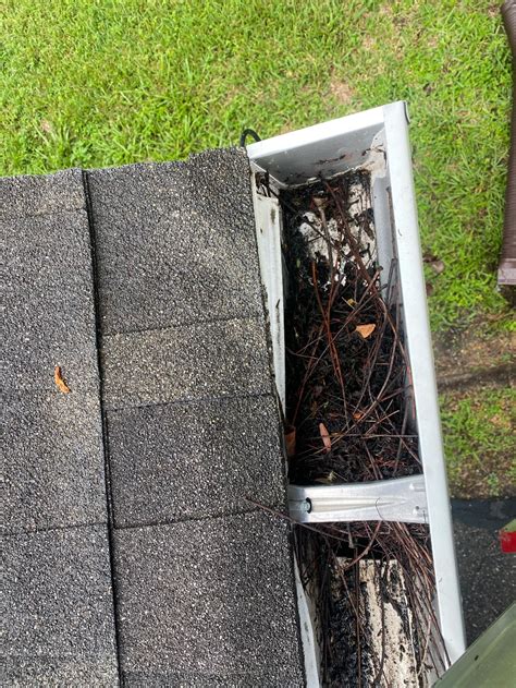 What Can Happen If You Dont Clean Your Gutters