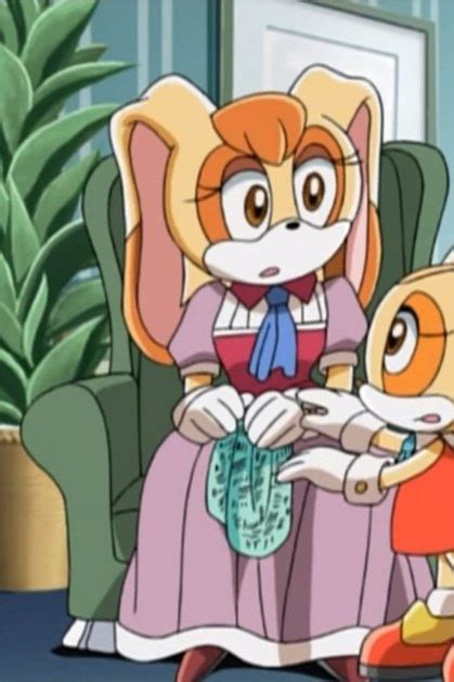 Sonic X Cream And Vanilla