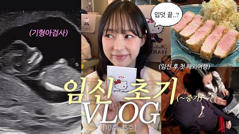 임신 Vlog 1차 기형아검사 정밀초음파 후기 임신성 이관개방증 10주~15주 임산부 입덧 근황 14주에 떠난 임신 후 첫 해외여행쿄토and오사카 Youtube