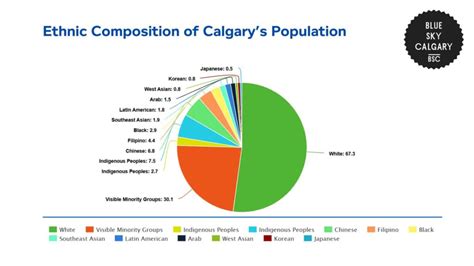 Deep Dive Into Calgarys Diversity Statistics And Trends [2025]
