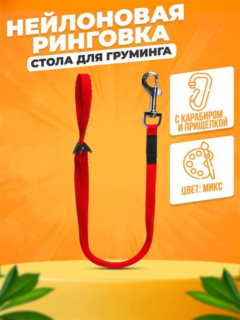 Ринговка для груминга собак и кошек с прищепкой и карабином - купить с ...