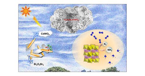 Bi4o5br2 Nanoflower And Cdwo4 Nanorod Heterojunctions For Photocatalytic Synthesis Of Ammonia