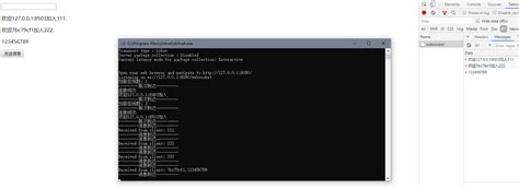 DotNetty实现WebSocket的简单使用 妙蛙草 博客园