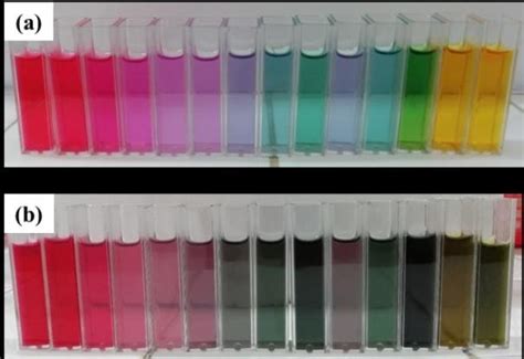 The Color Of Anthocyanin Extracts At Different Ph Conditions From Ph 1