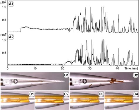 Two Capillary Approach For A Multifunctional Nanoflow Sheath Liquid Interface For Capillary