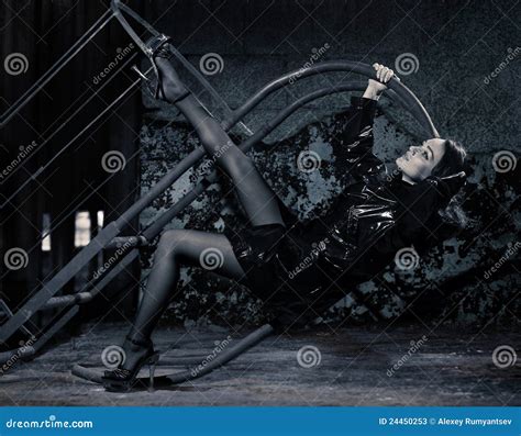 Woman On A Ladder Stock Image Image Of Sweet Erotic 24450253