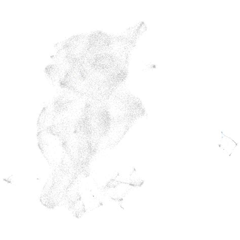 Nphp1 Periderm Daniocell