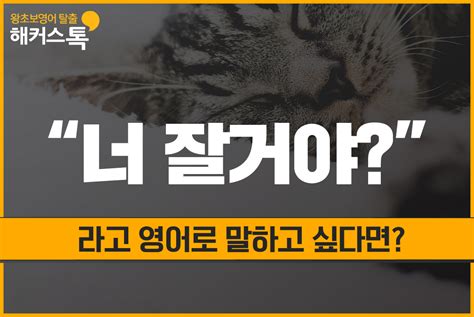 해커스톡 왕초보영어 탈출 너 잘거야 🛌💤 라고 영어로 말하고 싶다면 📚 하루 10분