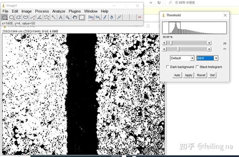 细胞划痕实验的统计方法 知乎