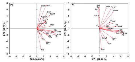 Principle Component Pc Analysis For Morphological And Physiological